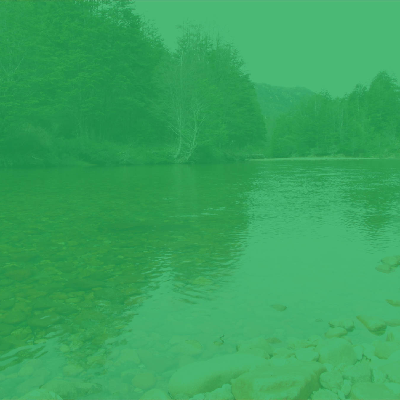 Rencap - Renaciendo Capacitaciones creada en y para Aysén